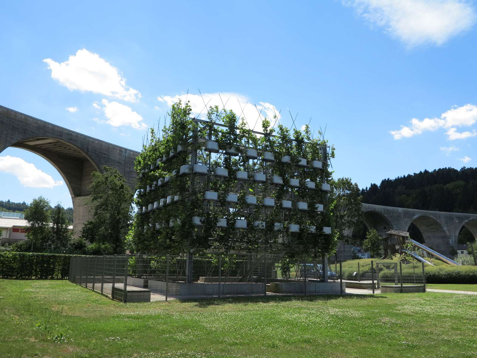 Plane Tree Cube · OLA Office for Living Architecture