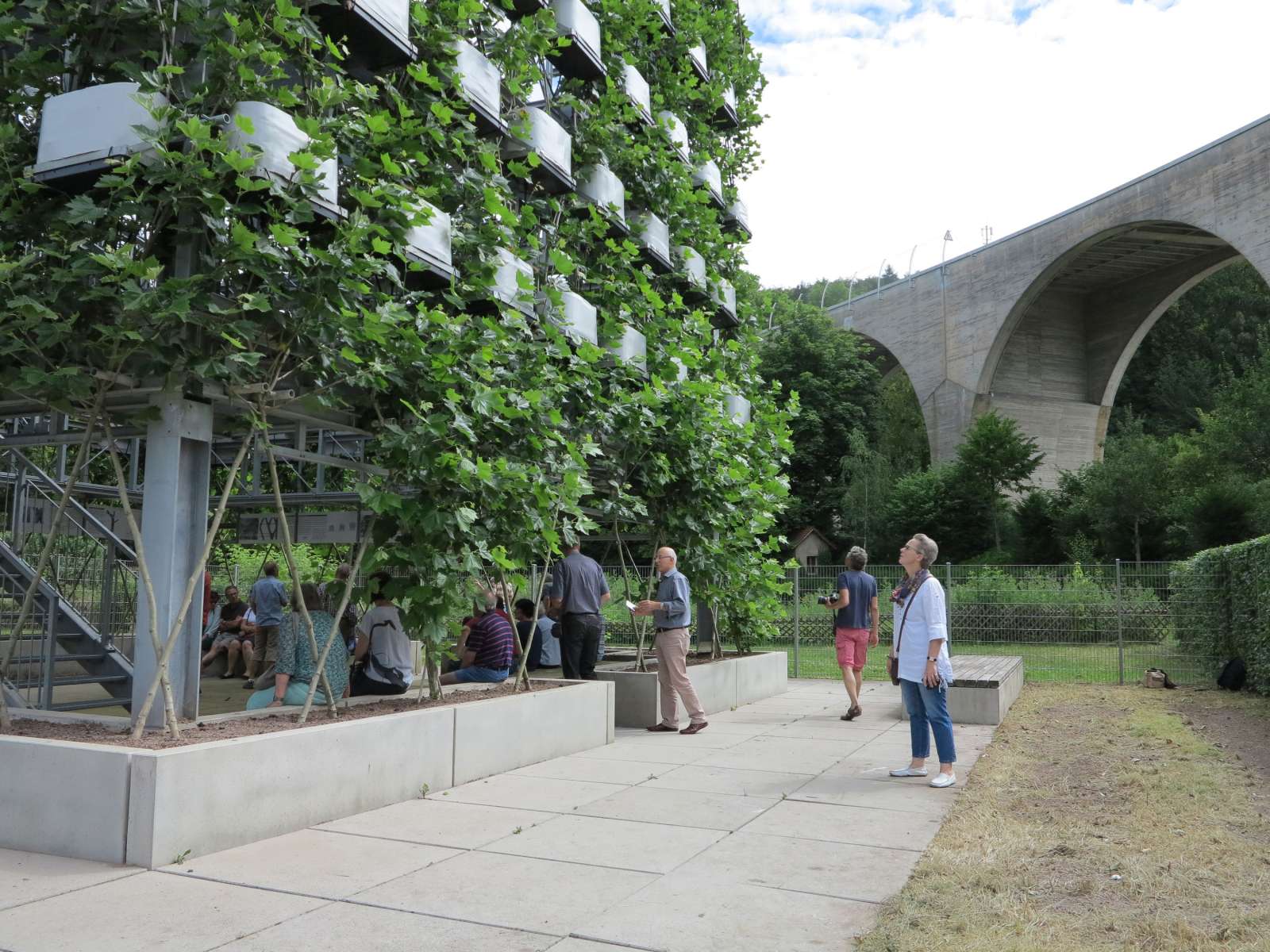 Plane Tree Cube · OLA Office for Living Architecture