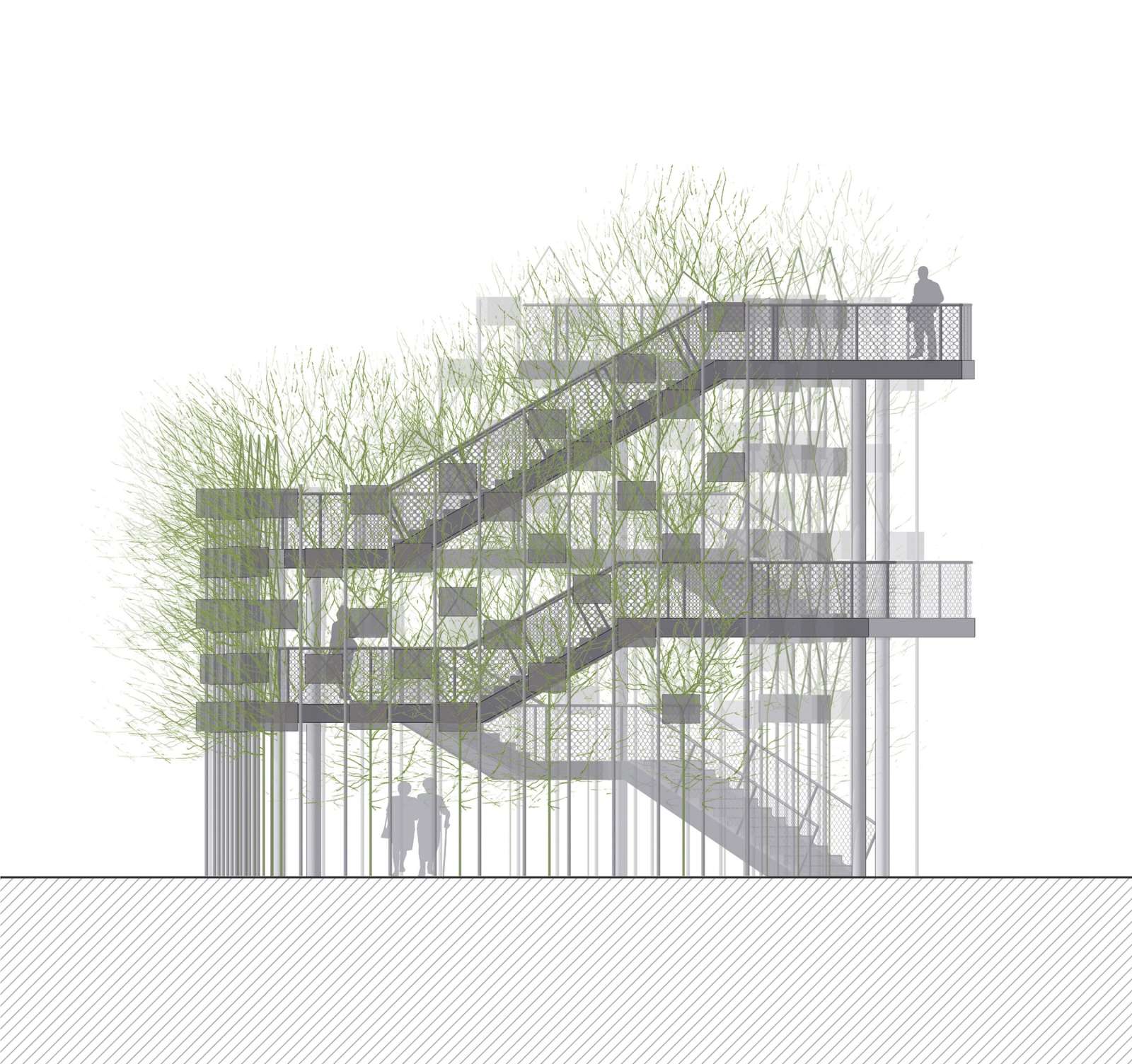 Baubotanik Project Basel · OLA Office for Living Architecture