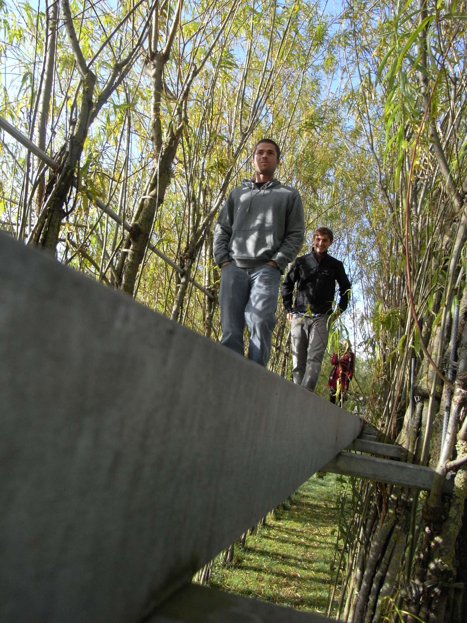 Baubotanik Footbridge · OLA Office for Living Architecture
