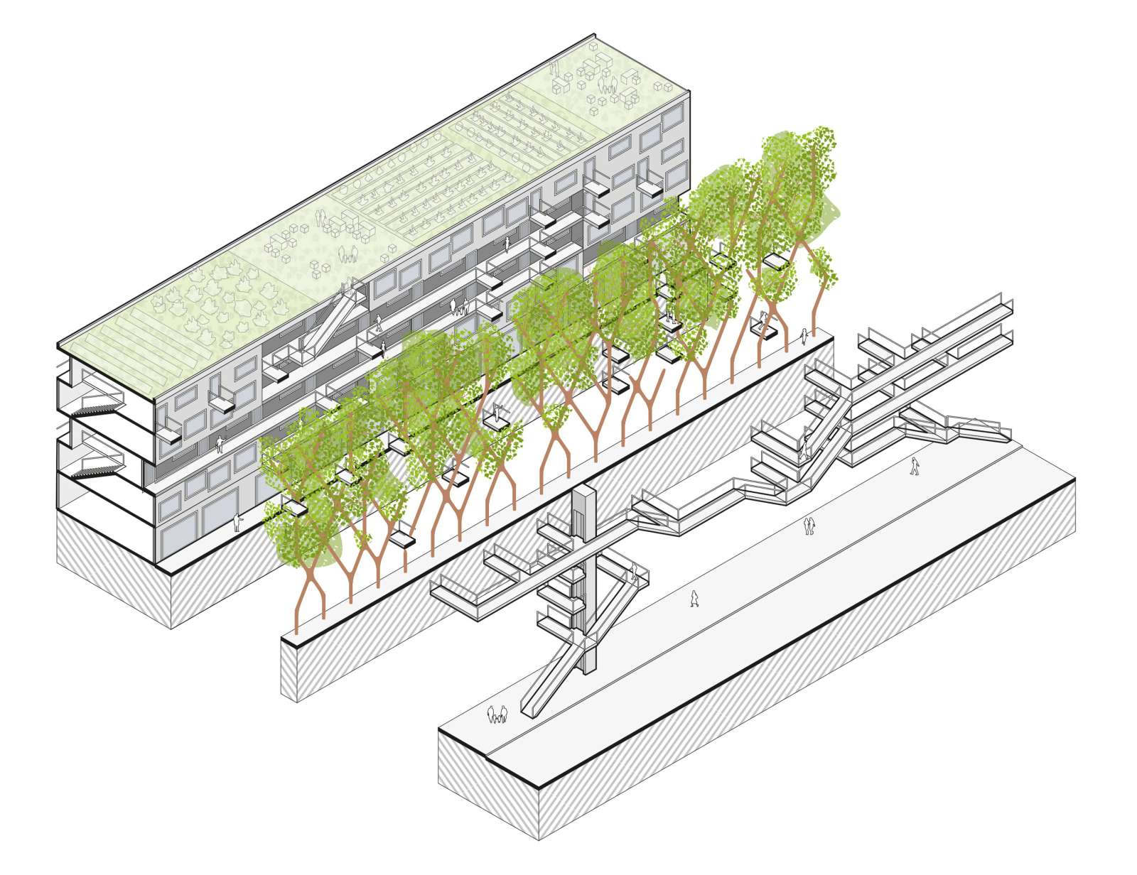 Baubotanik Street Typology · OLA Office for Living Architecture