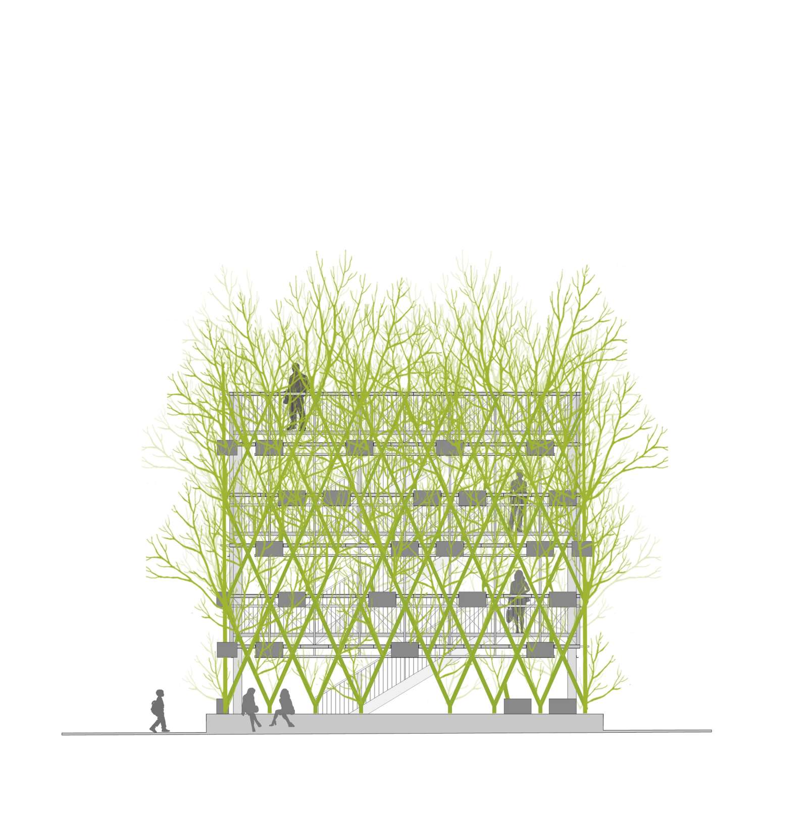 Plane Tree Cube · OLA Office for Living Architecture