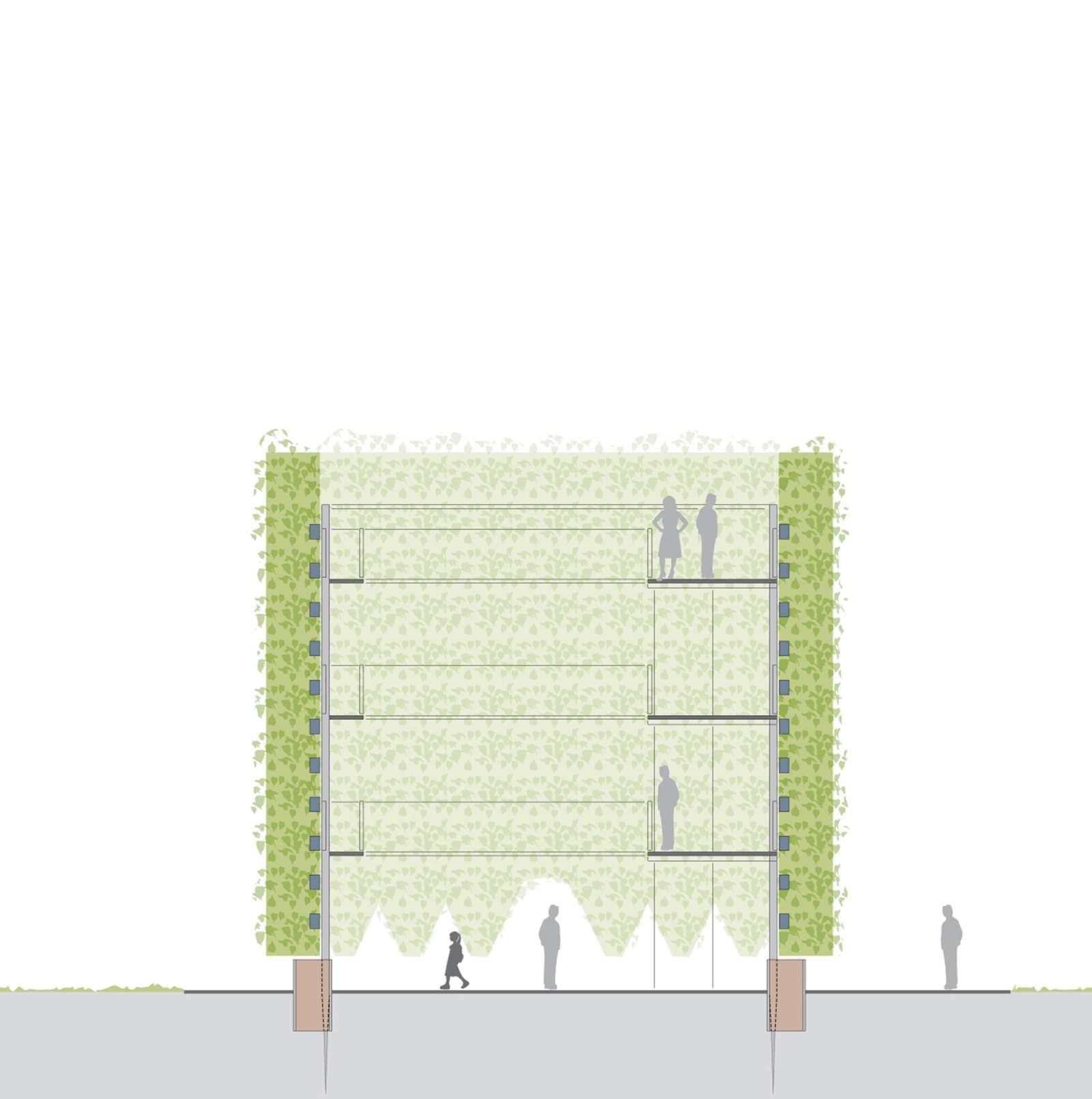 Plane Tree Cube · OLA Office for Living Architecture