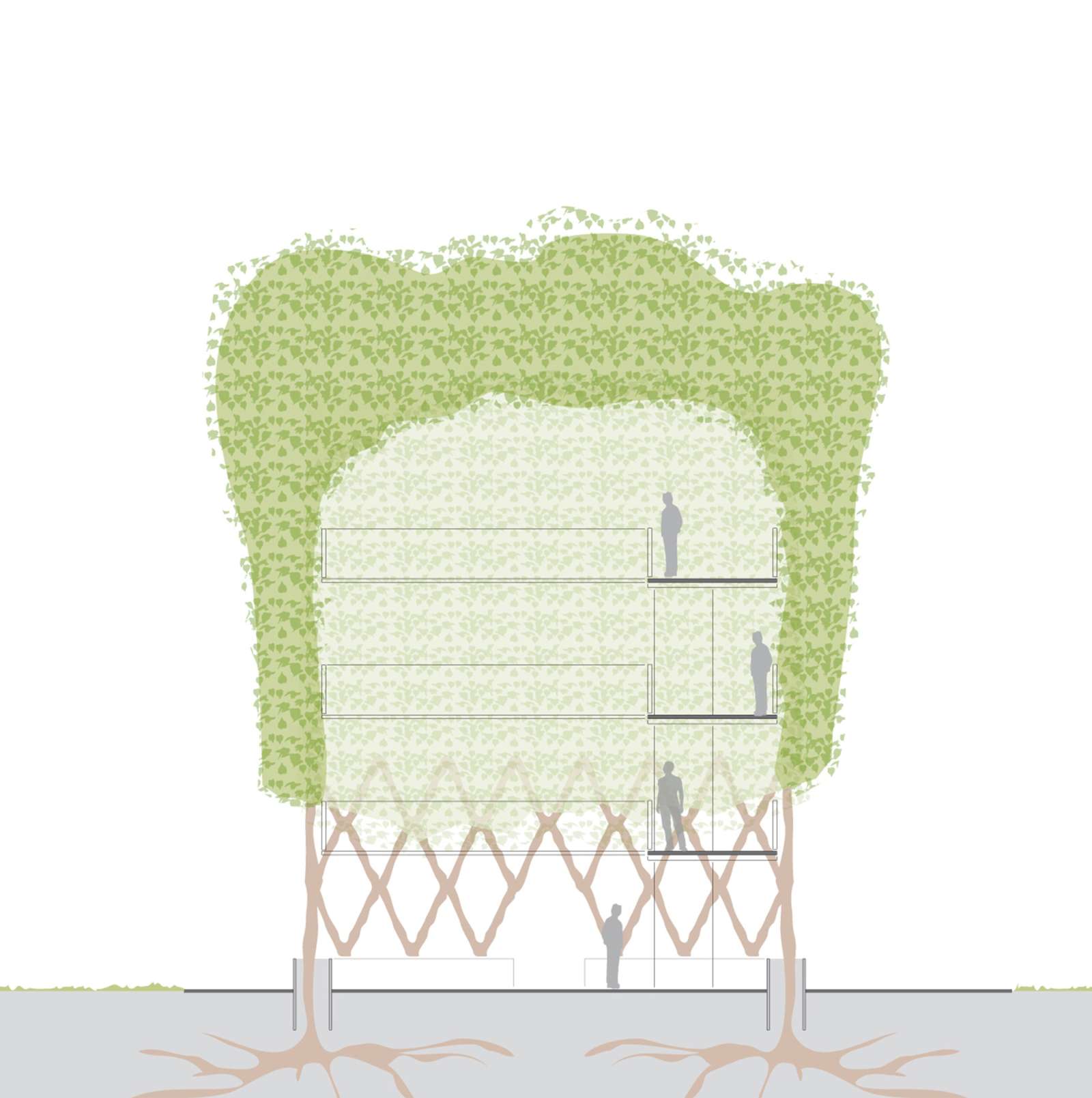 Plane Tree Cube · OLA Office for Living Architecture