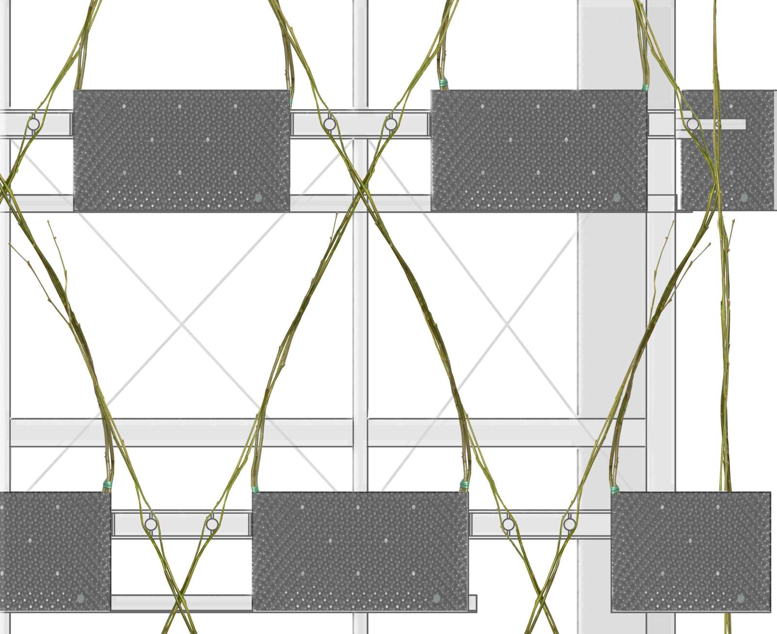 Plane Tree Cube · OLA Office for Living Architecture